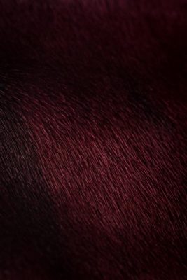 Seal Fur & Seal Skin Leather - Proudly Indigenous Crafts & Designs