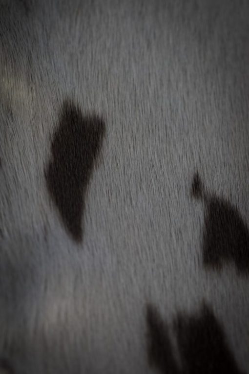 Seal Fur & Seal Skin Leather - Proudly Indigenous Crafts & Designs